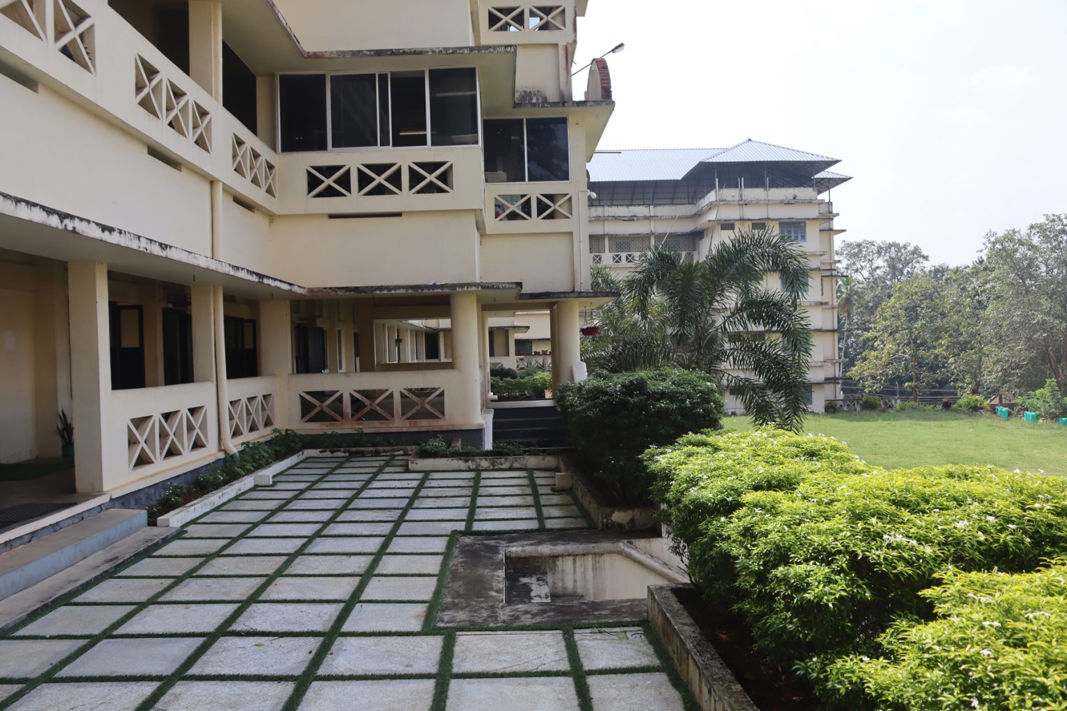 Green campus : SJB College | St. John The Baptist College Of Education